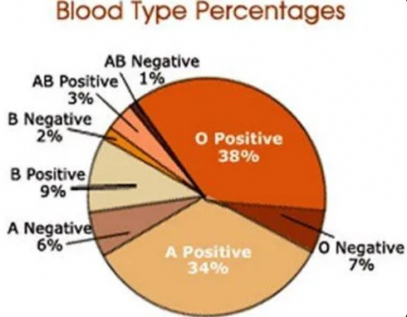 Unraveling the Enigmatic History of Rh-Negative Blood – The Matrix Minds